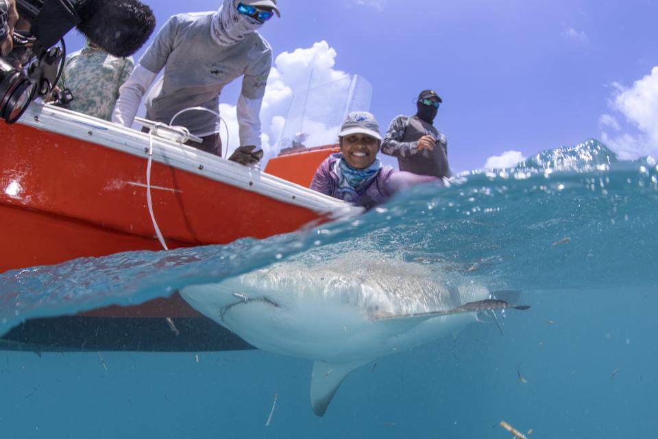 How Can Indigenous Communities Save Sharks In Honduras?