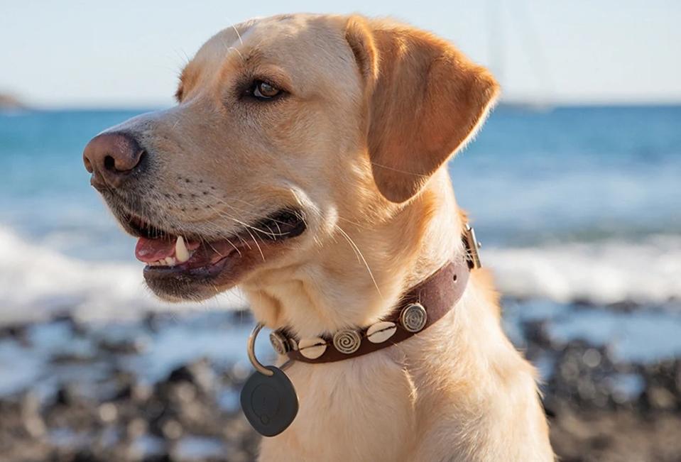 Journey’s LOC8 Tracker Tools Mean No More Lost Keys, Phone Or Passport