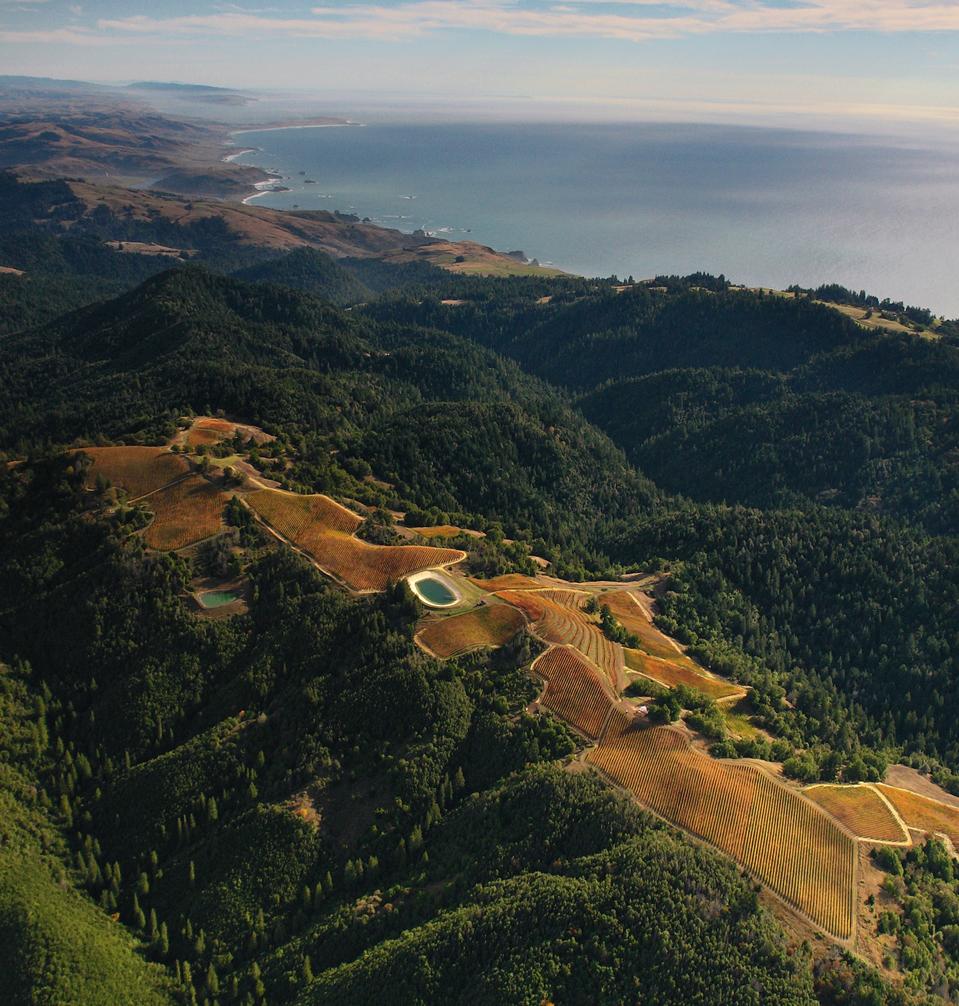 Dazzling Sonoma Wines From Fort Ross, Papapietro Perry And Gary Farrell