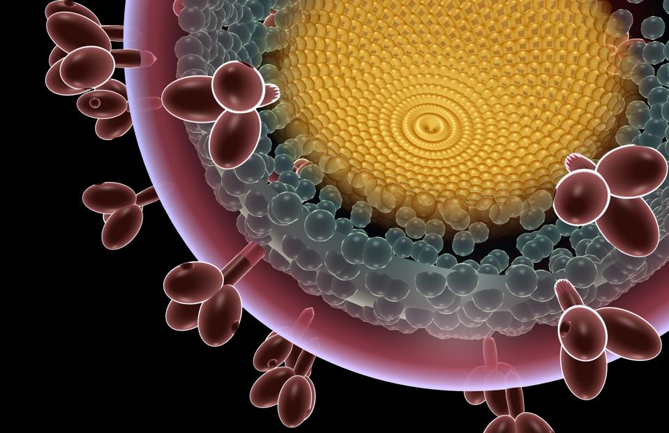 Direct Administration of CRISPR-Cas9: Tools for Cell and Gene Therapy