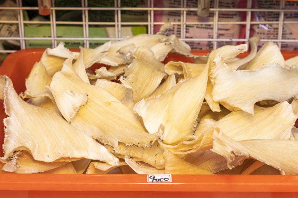 The Secrets Of The Shark Fin Trade In Singapore