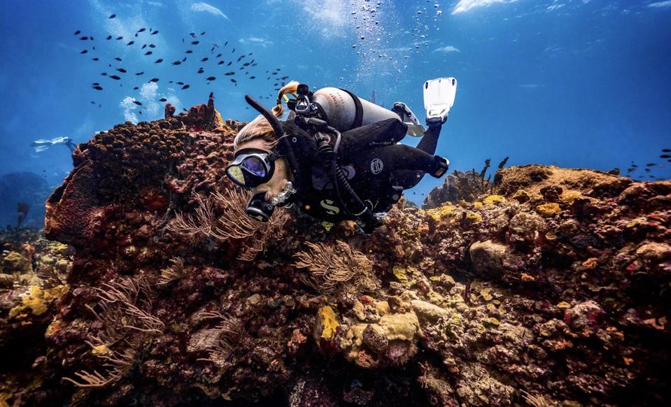 Scuba Diving In Mauritius: What You Need To Know