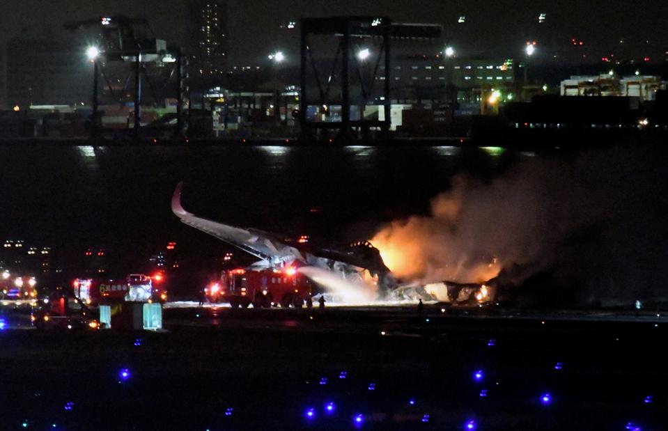 Japanese Airlines Say No To Pets In Cabin: 2 Died In JAL 516 Cargo
