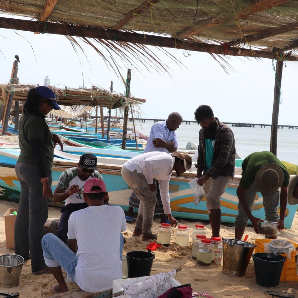 How Is Fishing Gear Hurting Precious Ecosystems In Sri Lanka & India?