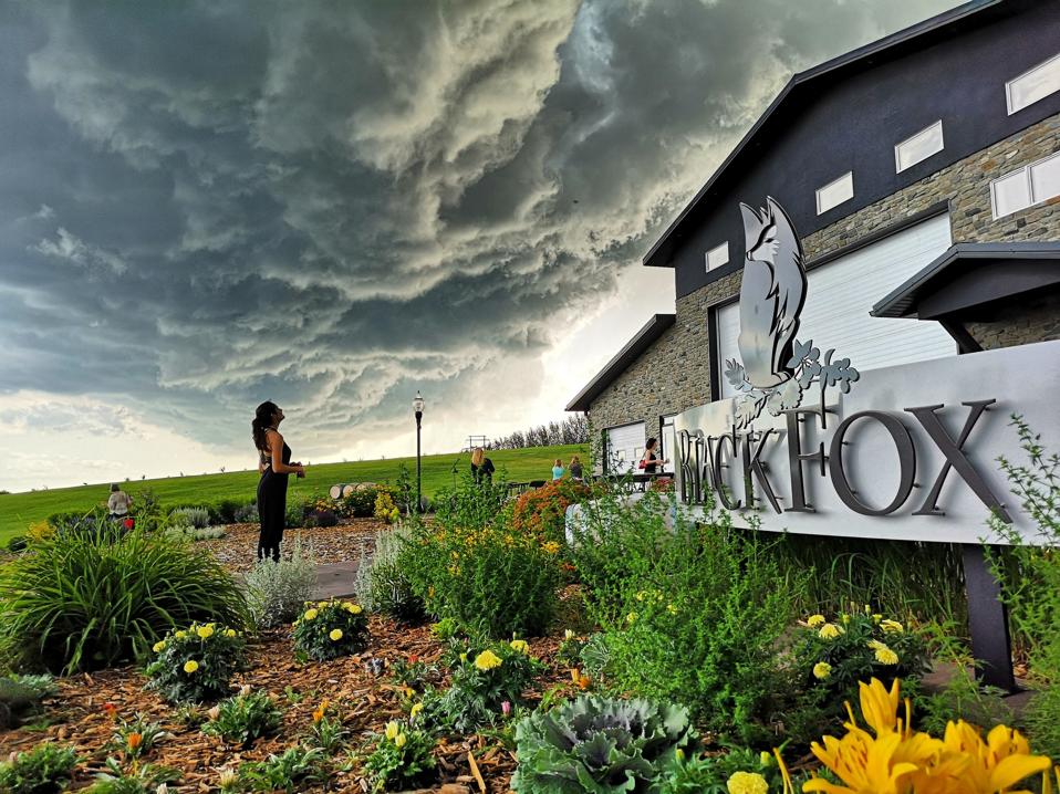 The Only Distillery In The World Aging Whiskey Outdoors Embraces ...