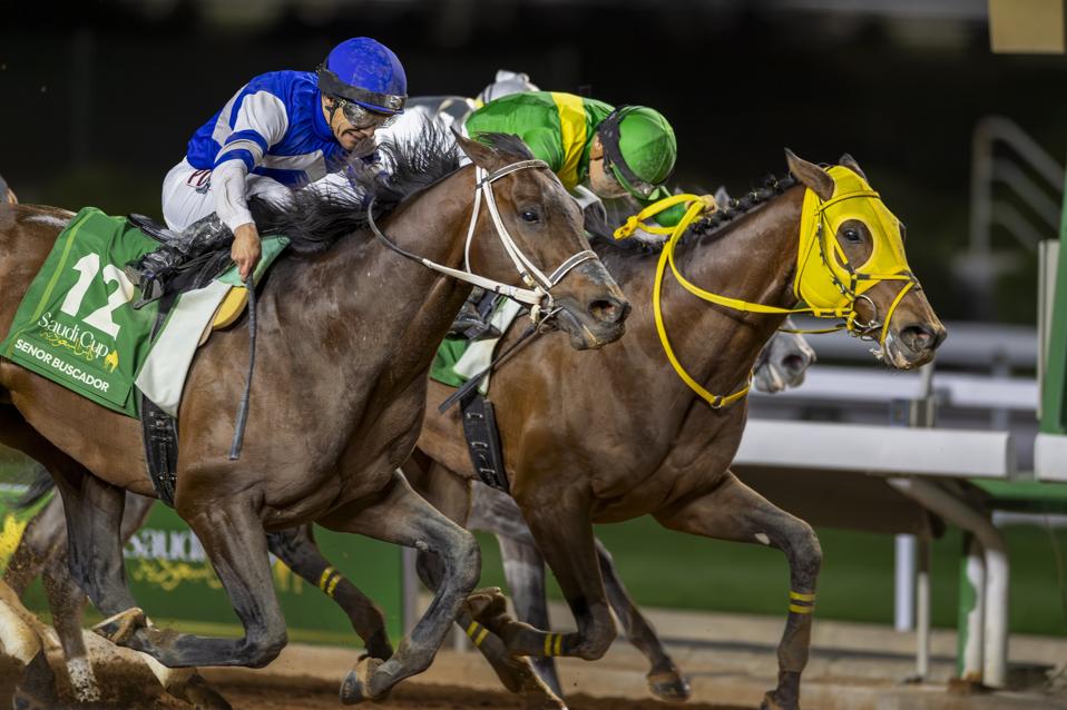 Saudi Cup Results: Senor Buscador Executes A $10 Million Upset, Ushba ...