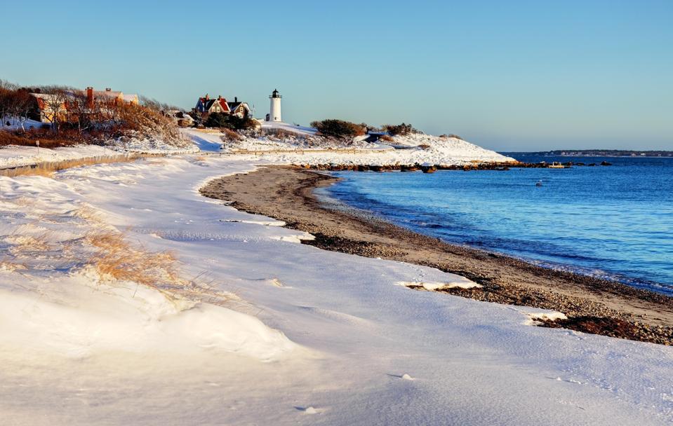 Discover The Rich Biodiversity Of Cape Cod On A Winter Birding Trip