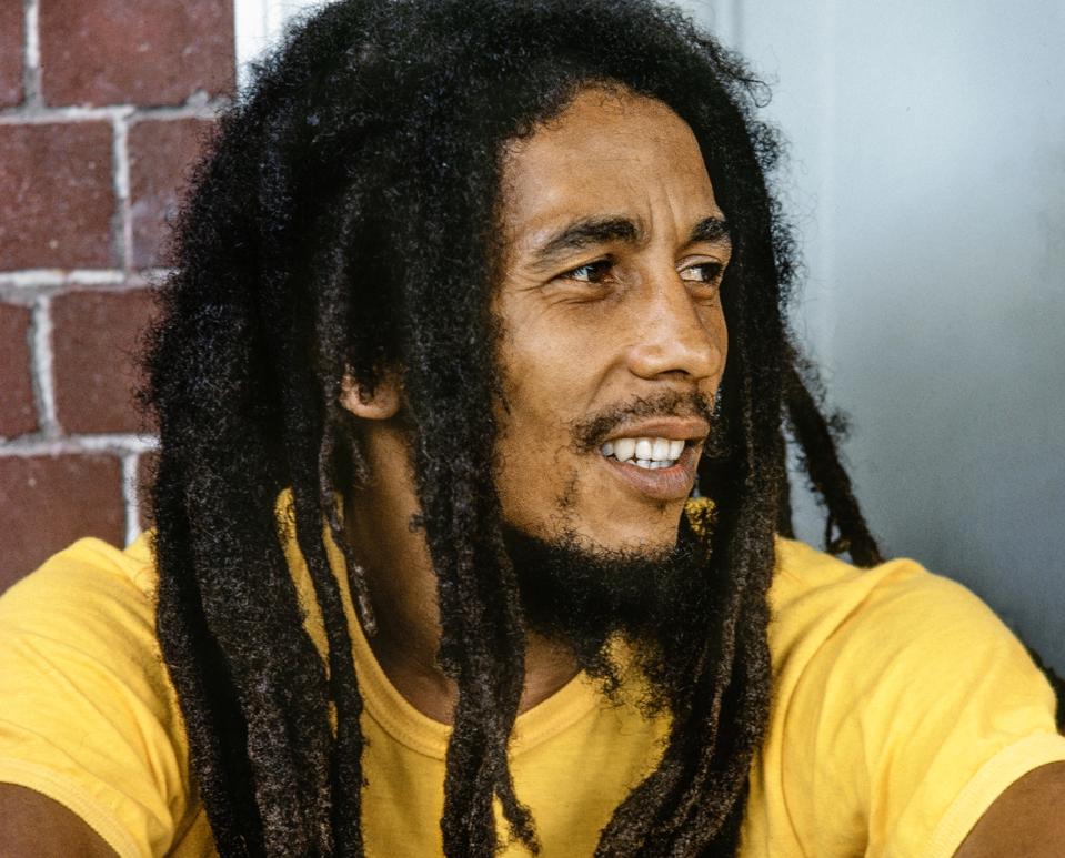 As audiences flock to see “Bob Marley: One Love,” the U.S. government issues an ill-timed travel ...