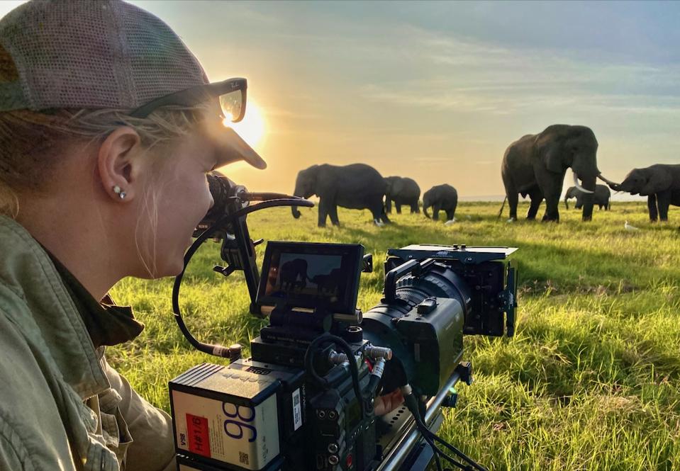 Wild Females: National Geographic’s Stunning New Show ‘Queens’ Dazzles