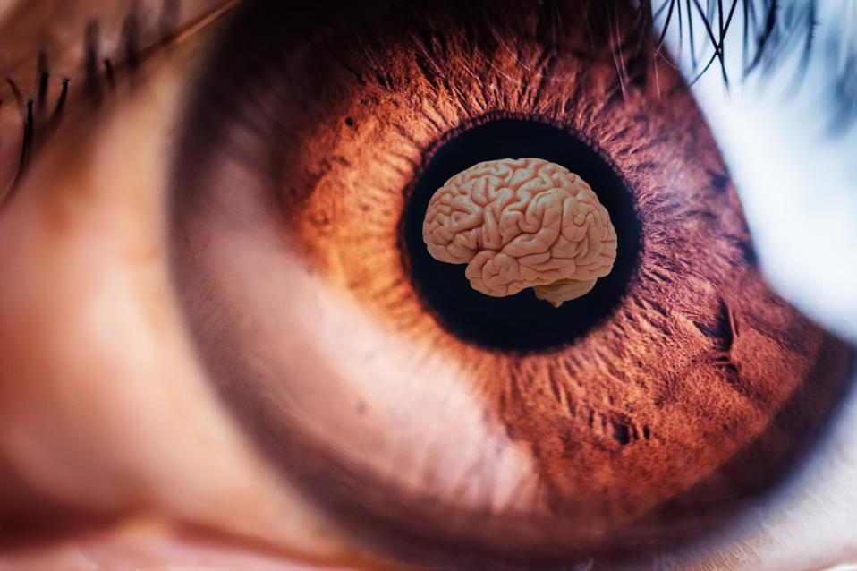 Link Between Eyes & Brain Immunity Discovered