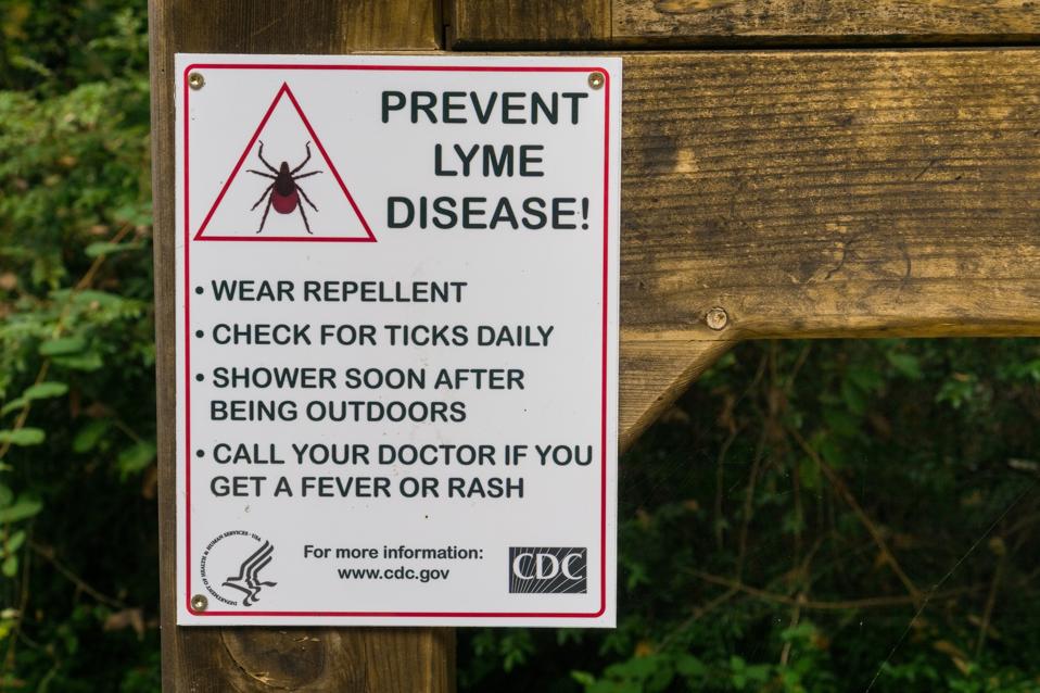 Why You Should Worry About Lyme And Other Diseases Transmitted By Pests