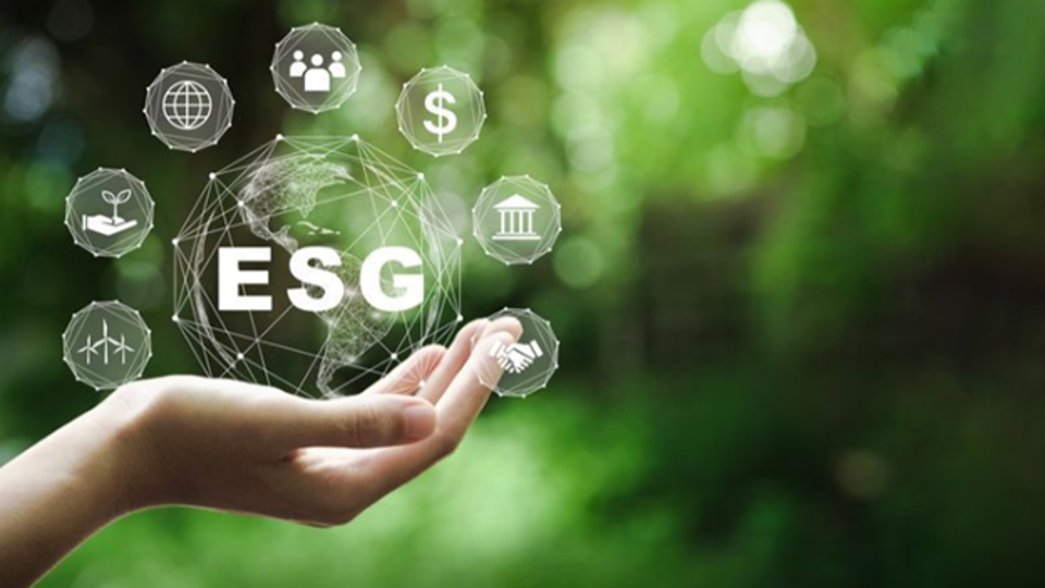 Why has ESG Become The Toxic Wordle In Asset Management?
