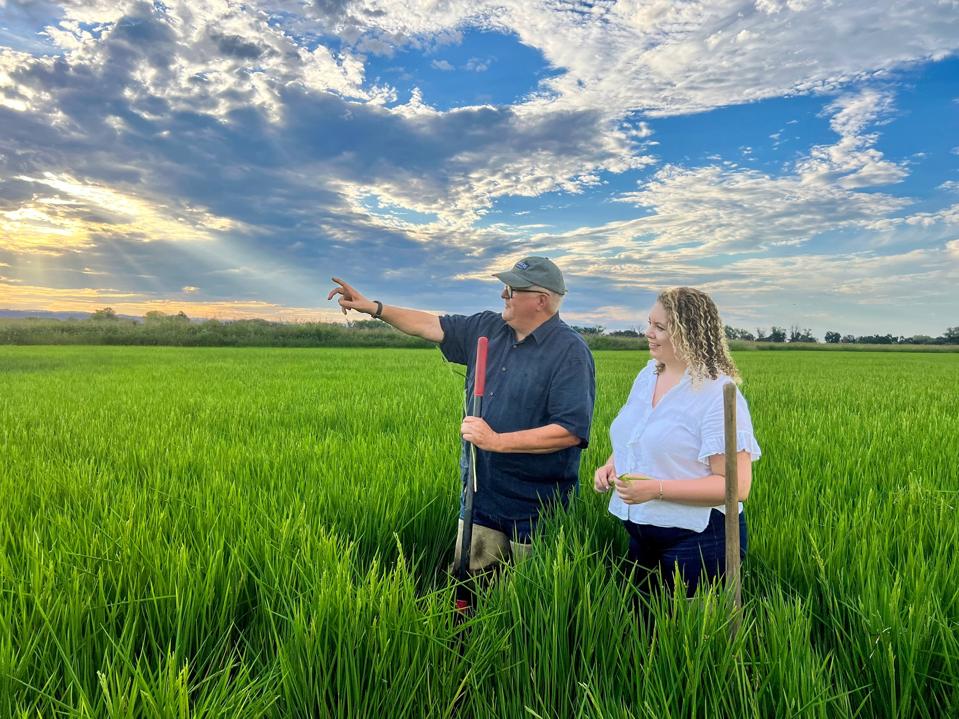 A Generational Commitment To Regenerative Organic Farming At Lundberg ...