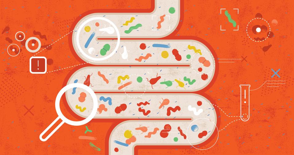 Essential Foods And Supplements For Gut Health—And The Microbiome’s Role