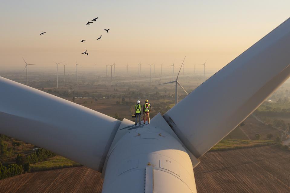 How Earth’s Heaviest Soaring Bird Is Inspiring Scientists To Build ...