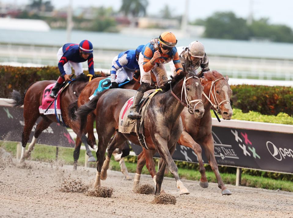 Florida Derby 2024: Fierceness, Conquest Warrior And Hades Will Stage ...