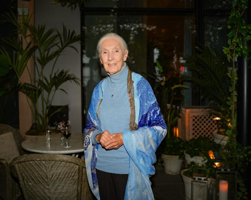 Jane Goodall Celebrates 90th Birthday With Brilliant Earth In New York