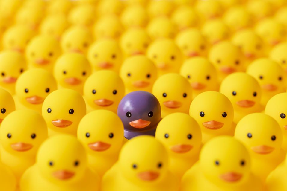 How Does Personality Intersect With Diversity?