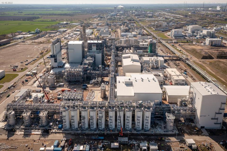 Chemicals Made From Wood For A World Beyond Fossil Fuel