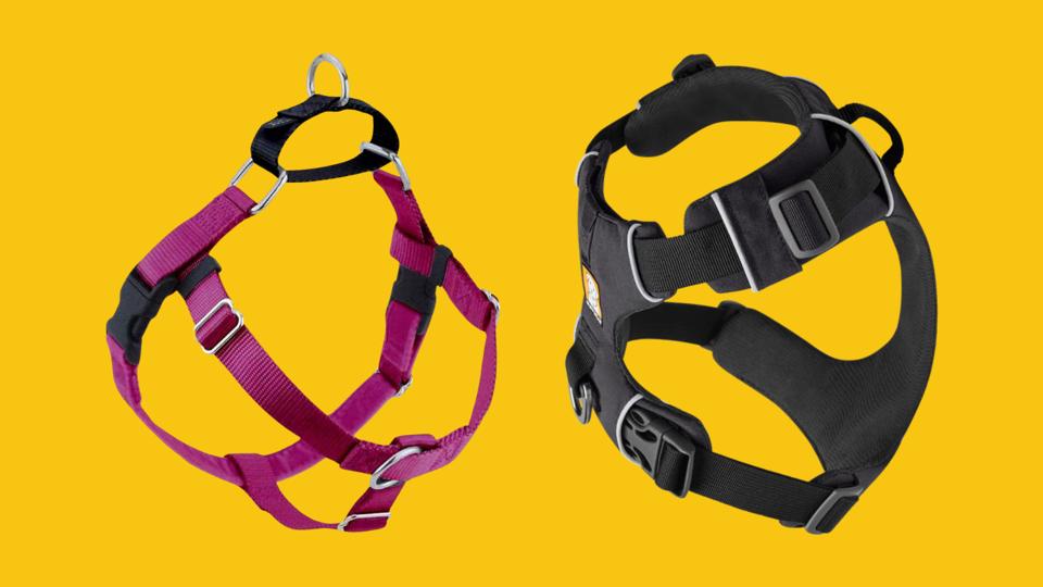 The Best Harnesses For Dogs That Pull, According To Vets And Trainers ...