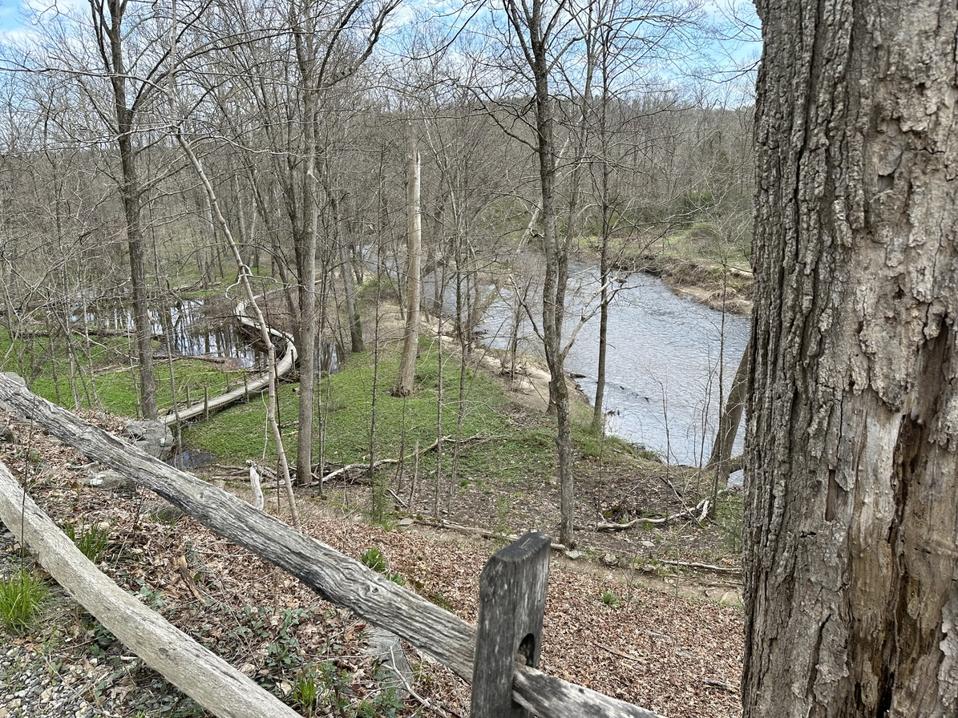 Migrating Birds Attract Visitors To Connecticut Audubon Center