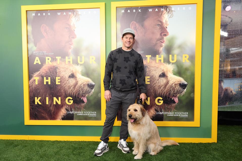 Is ‘Arthur The King’ Streaming? Here Are Ways To Watch Mark Wahlberg’s ...