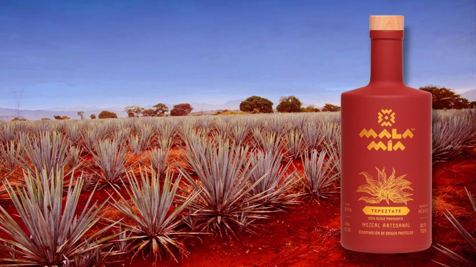 The World’s Best Mezcals, According To The 2024 San Francisco World ...