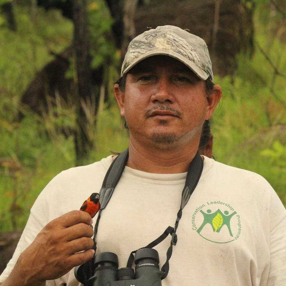 How Are Indigenous Groups In Guyana Saving The Bird They ‘Discovered?’