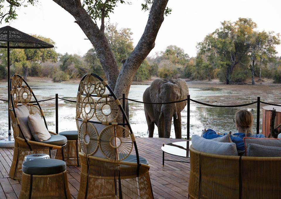 5 Reasons To Visit Zimbabwe’s Molori Mashuma: A Transformative Safari
