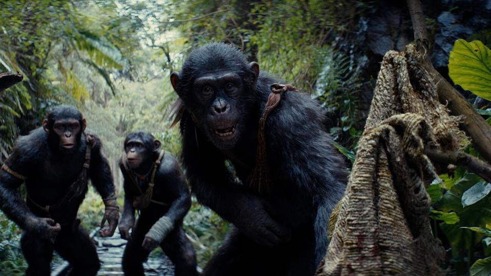 ‘Kingdom Of The Planet Of The Apes’ Is Now Streaming—How To Watch The ...