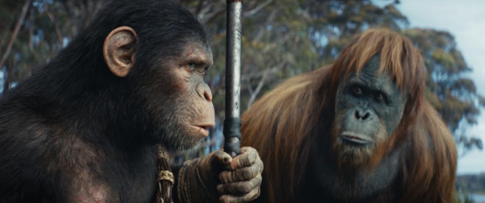 ‘Kingdom Of The Planet Of The Apes’ Star Shares View On Raka’s Fate