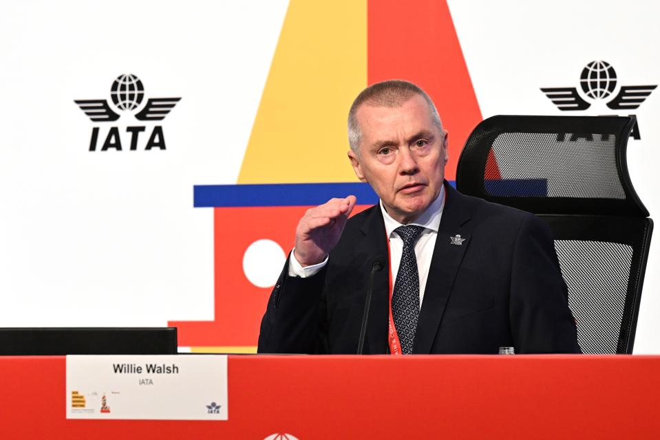 Airlines Expect Record $996 Billion Revenue But Modest Profit