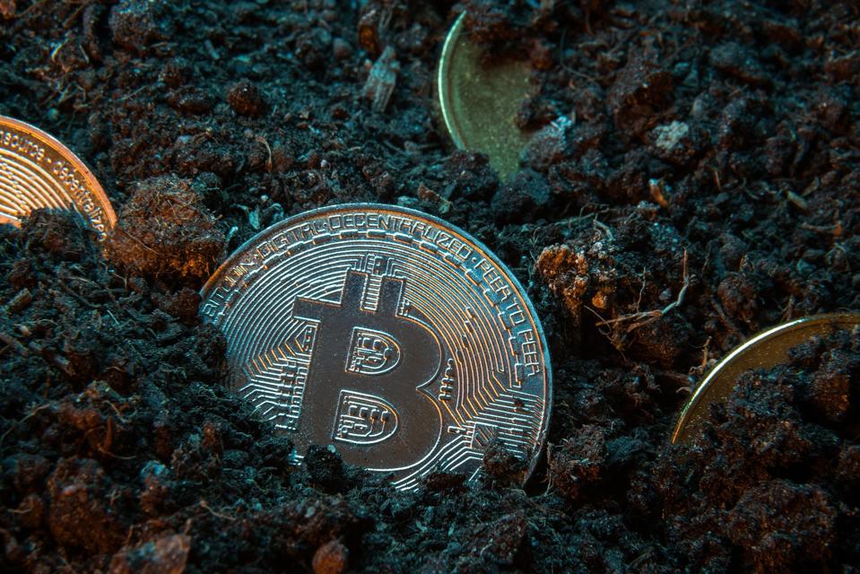 Bitcoin Could Still Thrive After All Coins Are Mined, Study Reveals