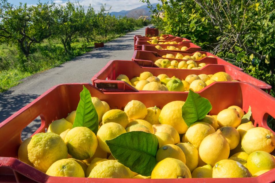 Spain’s Lemon Surplus Is A Sour Supply Chain Reminder