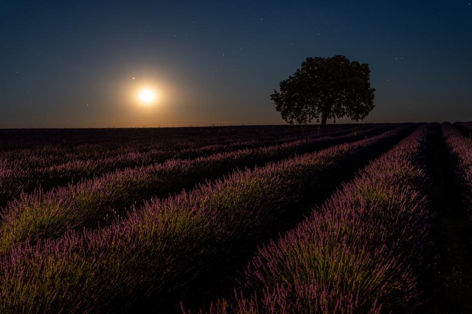 Exactly When To See The Full ‘Buck Moon’ Rise This Weekend