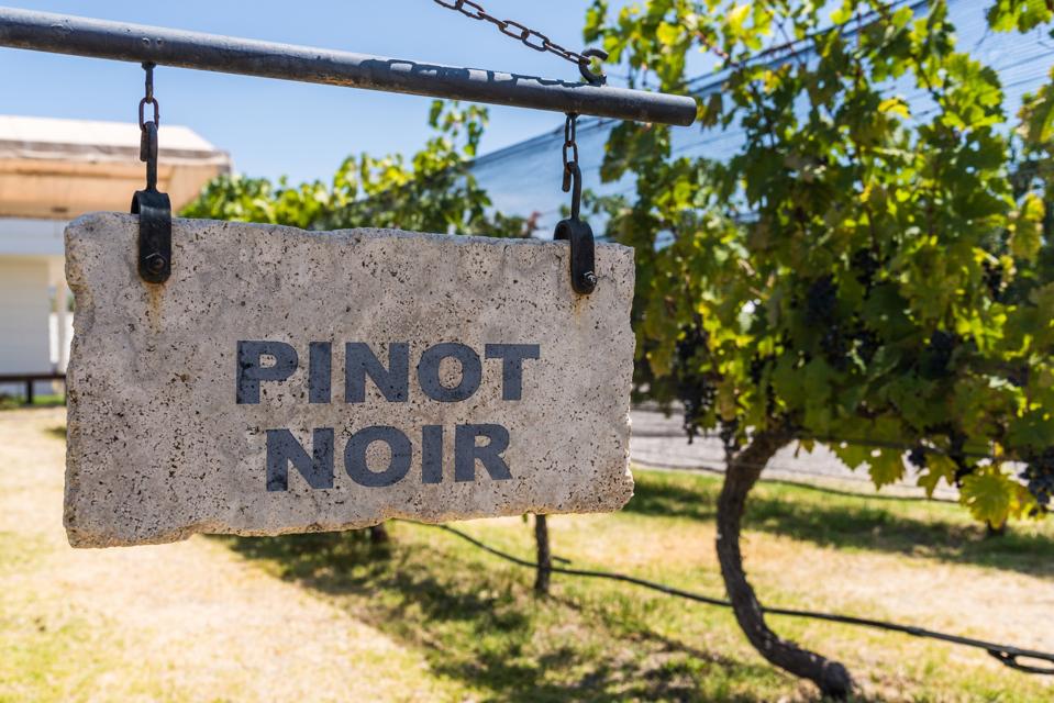 Grape Basics: The Essential Guide To Pinot Noir
