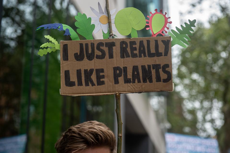 How Businesses Can Speed Up The ‘Nature Transition’