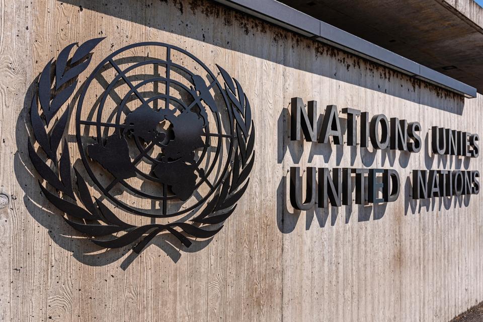 Human Rights Groups Raise Alarm Over UN Cybercrime Convention