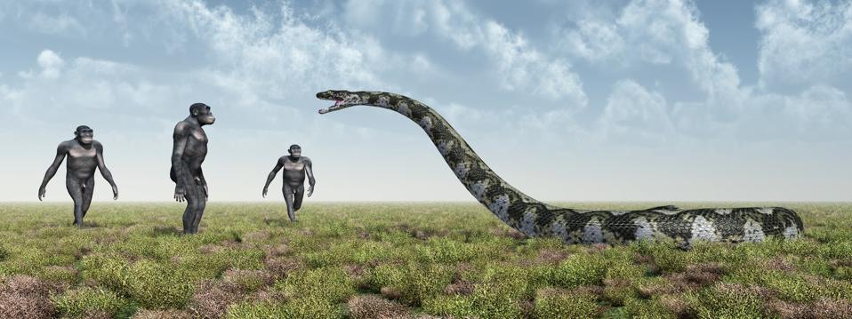 7 Incredible Facts About The ‘Titan Boa’—The Largest Snake Ever Discovered