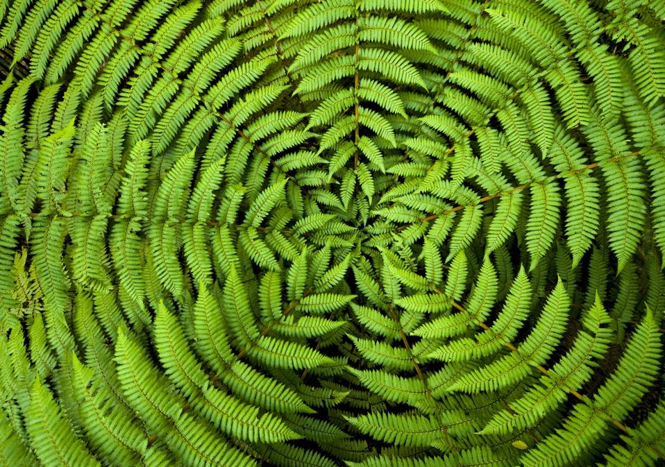 Harnessing Design For Sustainable Business Practices