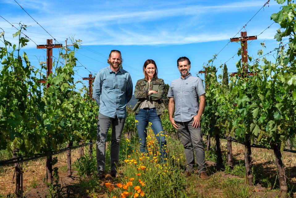 Continued Excellence From Clos Du Val