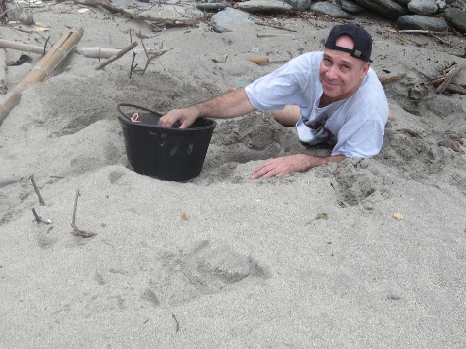 How Can Communities In Venezuela Save Hawksbill Turtles From Poachers?