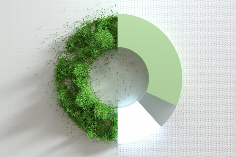 A Guide To Circularity Success In 2024