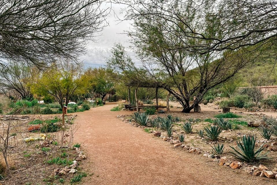 Promoting 4,000 Years Of Food History In Tucson