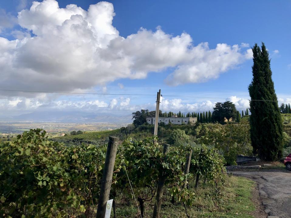 The Volcanic Nature Of Frascati Superiore