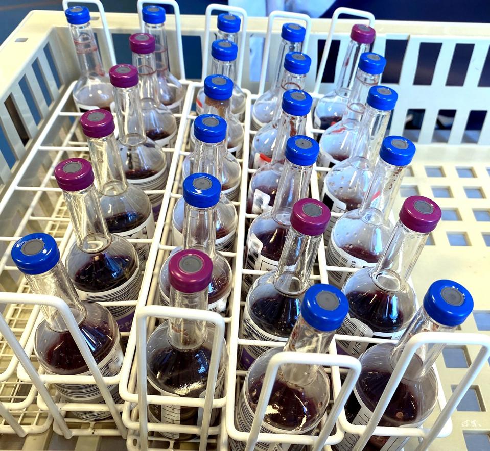 The Shortage Of Blood Culture Bottles Will Hurt Patients In Surprising Ways