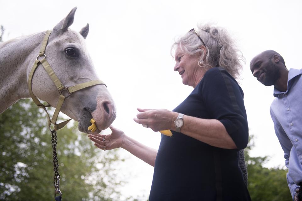 What Horses Can Teach C-Suite Executives