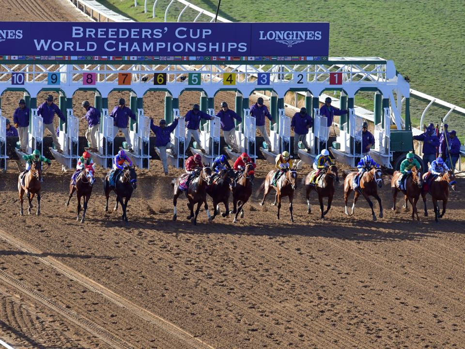 Biggest Summer Breeders’ Cup Challenge Races Ahead Of 2024 World ...