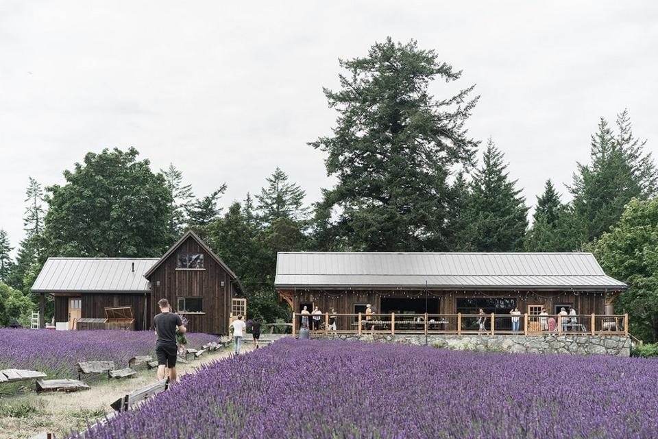 Explore Greater Victoria’s New Flavor Trail: Barns, Beaches And Beyond