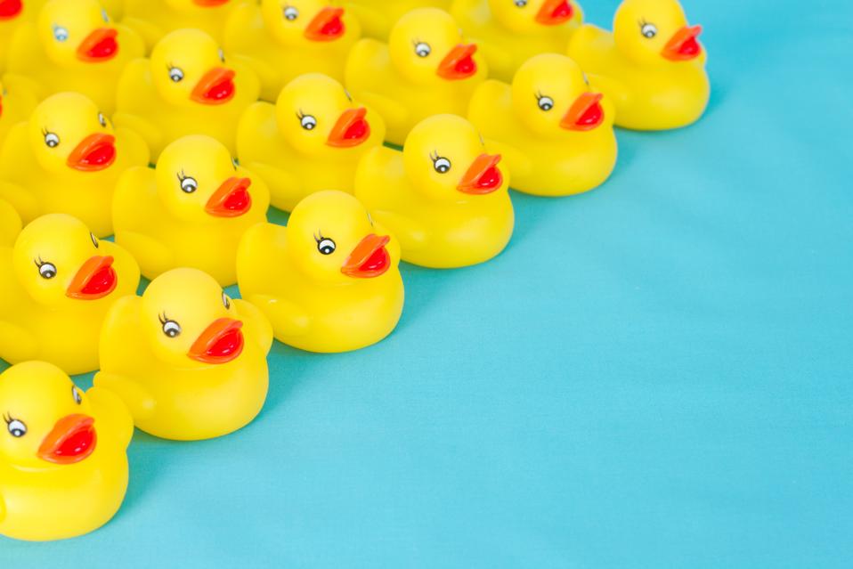 Why Are There Rubber Ducks Hidden On Cruise Ships?